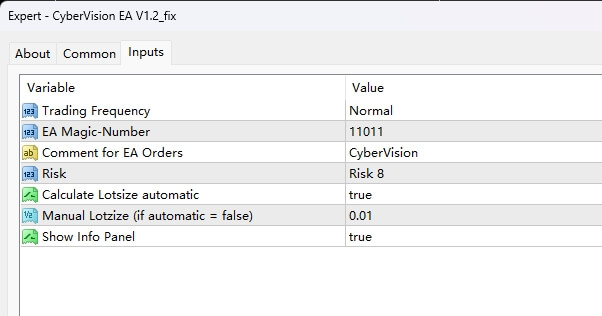 CyberVision EA V1.2_fix - 无广告 - 2024-05-09 - ### **开发者描述**： - **技术背景 ...