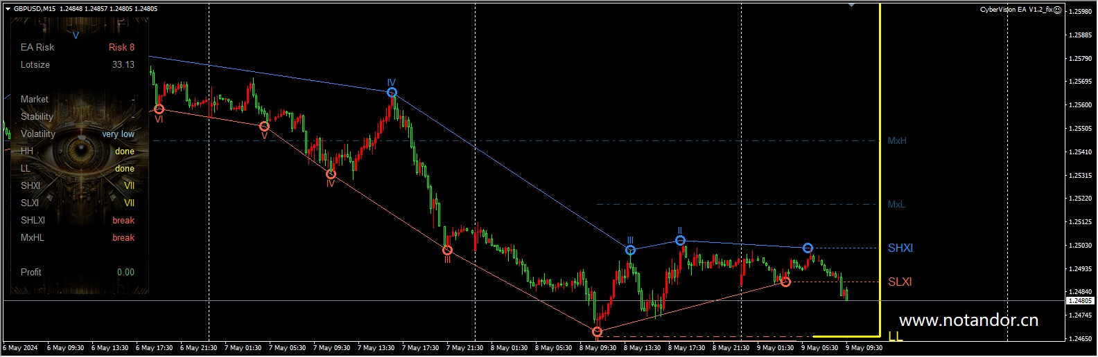 CyberVision EA V1.2_fix - 无广告 - 2024-05-09 - ### **开发者描述**： - **技术背景 ...