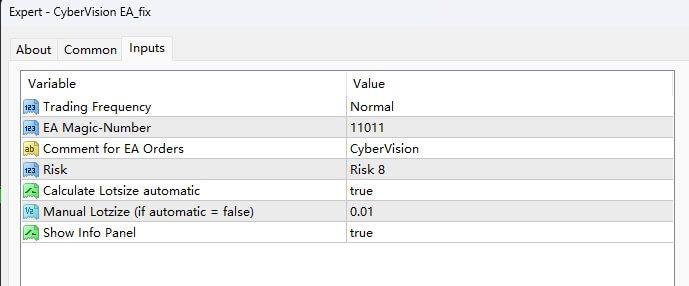 CyberVision EA_fix - 无广告 - 2024-06-05 - 1. **开发者描述**： - 技术背景 ...