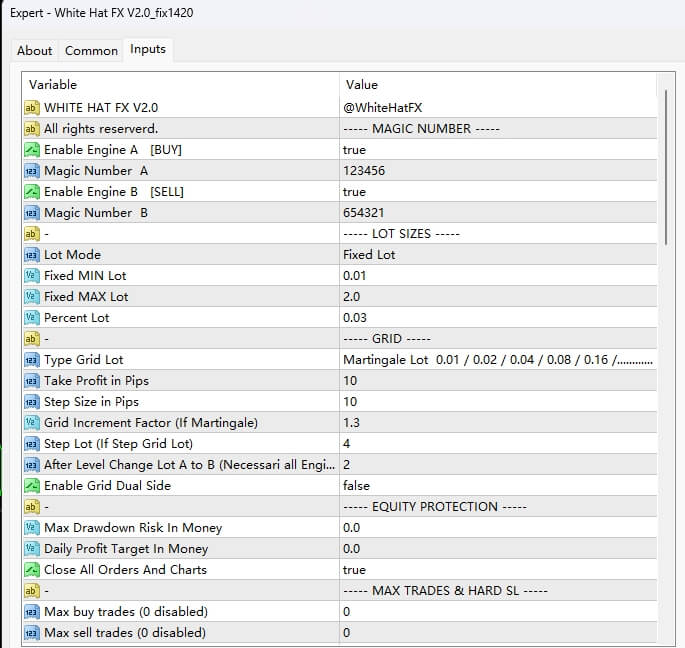 White Hat FX V2.0_fix1420 - 无广告 - 2024-06-14 - White Hat FX V2.0 是一款在 ...